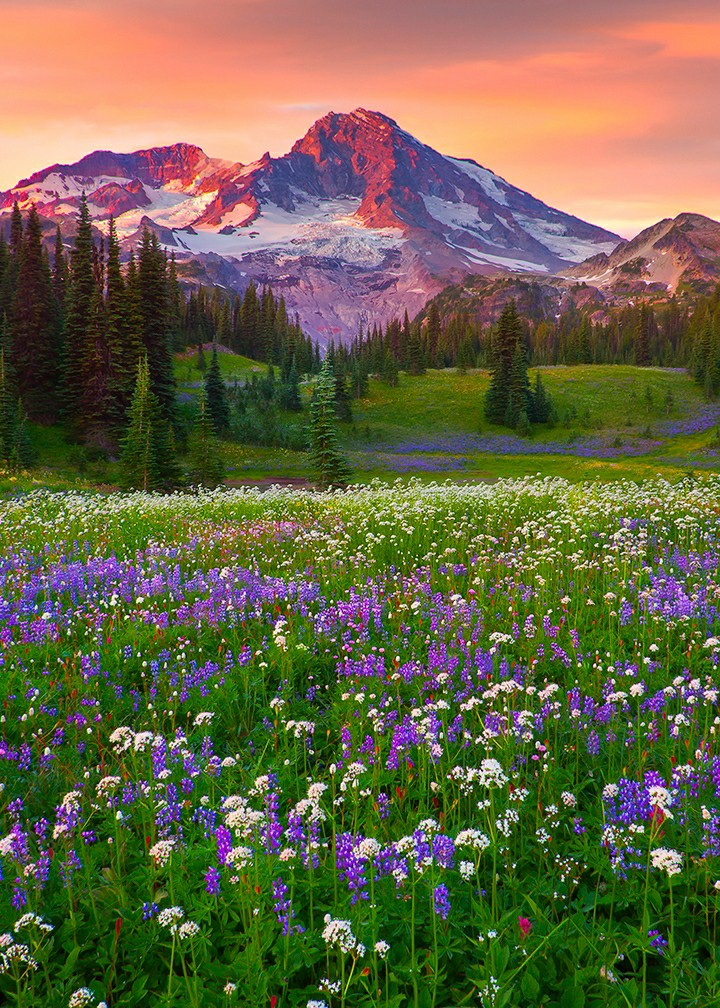 Saturated Photography